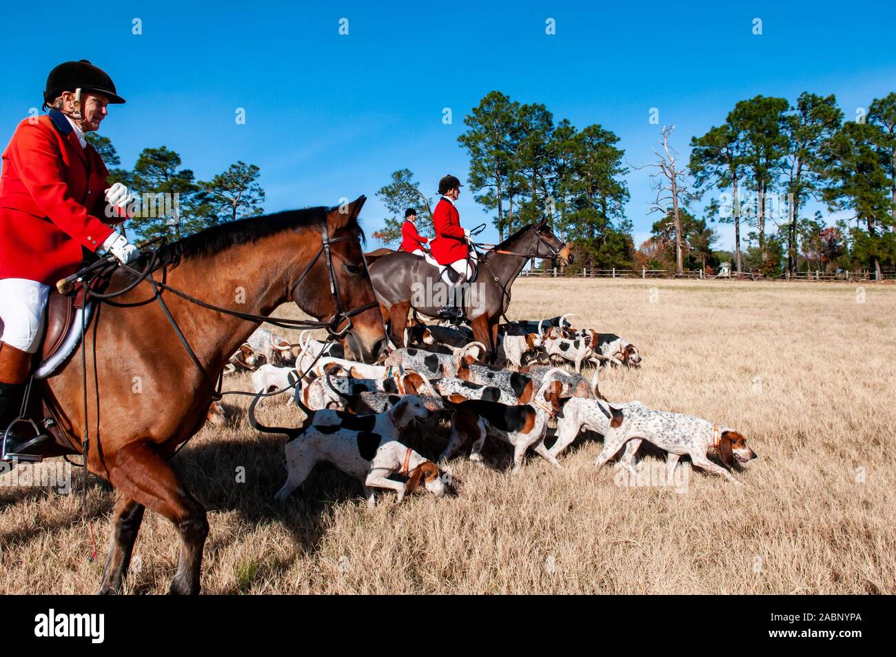 Penn marydel hi-res stock photography and images - Alamy