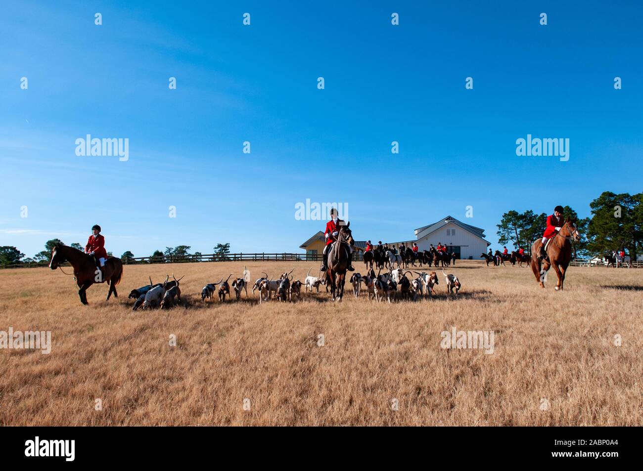 Penn marydel hi-res stock photography and images - Alamy