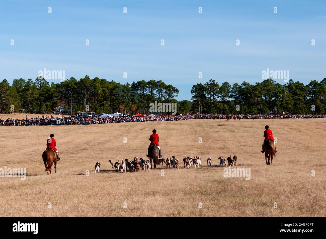 Penn marydel hi-res stock photography and images - Alamy