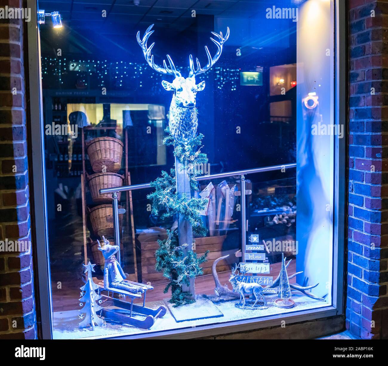 Christmas window display illuminated by vivid blue lighting Stock Photo ...