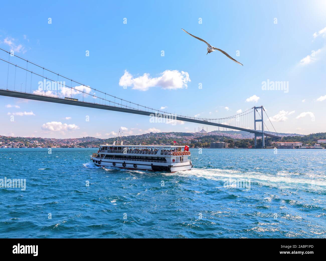 Cruise ship under the Bosphorus bridge, Istanbul, Turkey Stock Photo ...