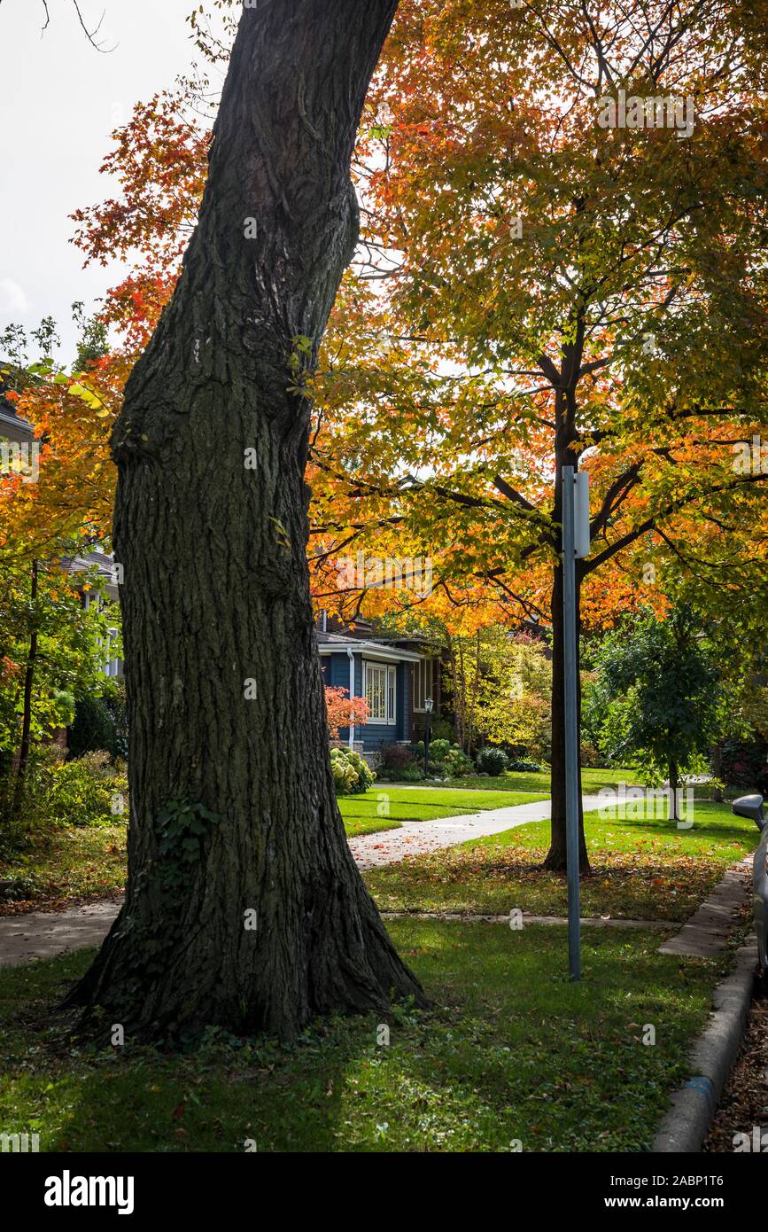 Ravenswood Manor Historic District, residential neighbourhood that was ...