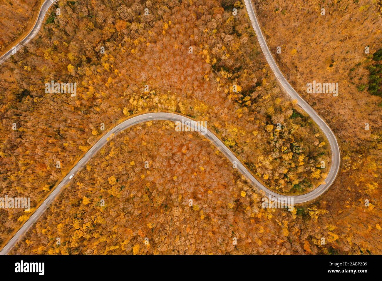 Aerial view autumn forest hi-res stock photography and images - Alamy