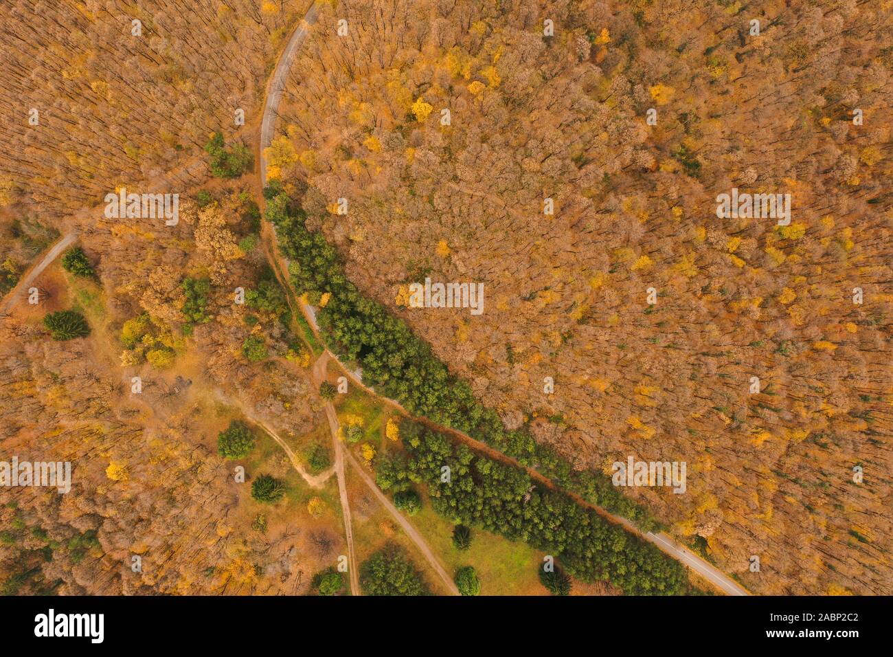 Aerial view autumn forest hi-res stock photography and images - Alamy