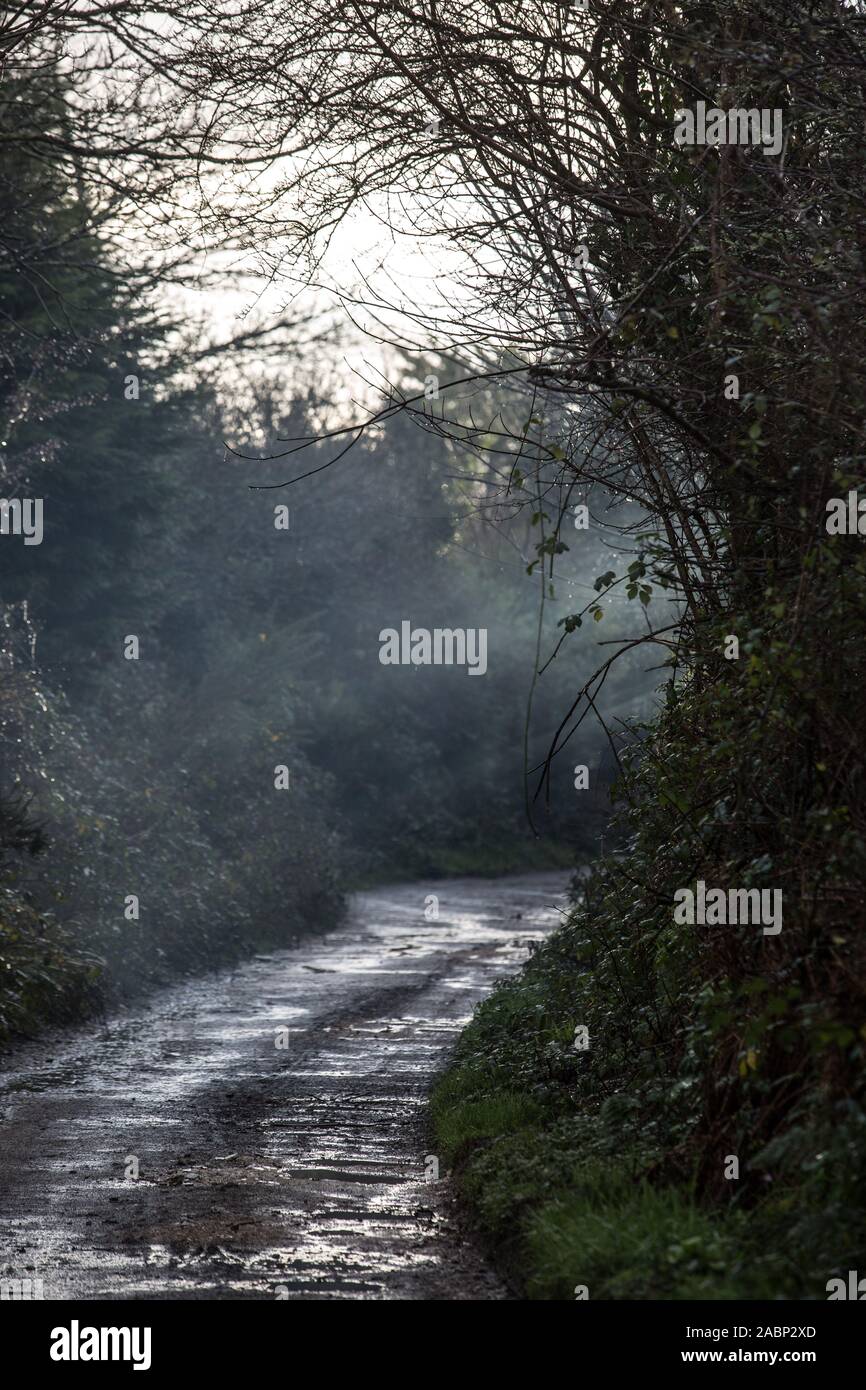 Mark rowe hi-res stock photography and images - Alamy