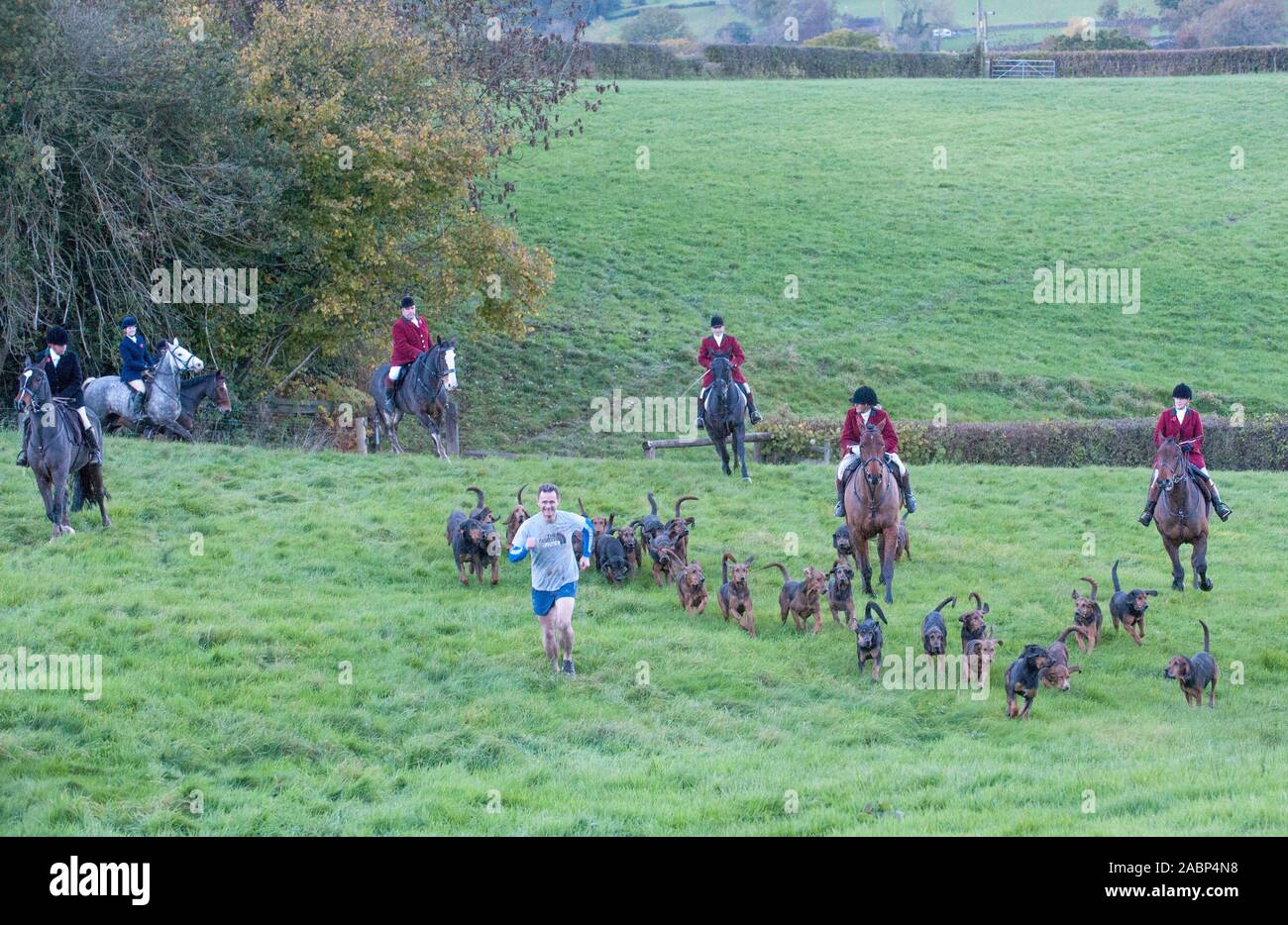 Human scent follow hi-res stock photography and images - Alamy