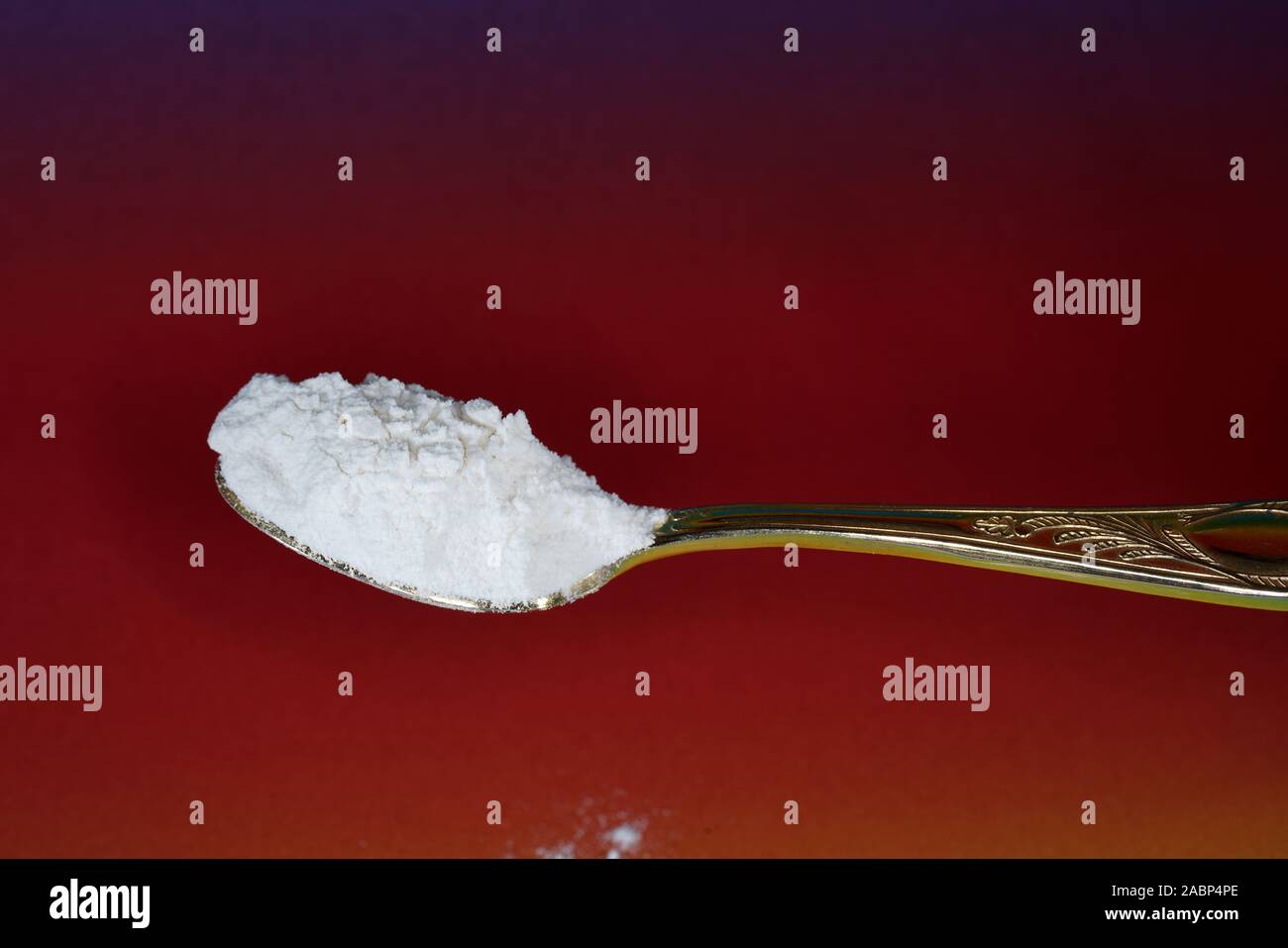 Flour with macro lens photographed against colorful gradient in studio ...