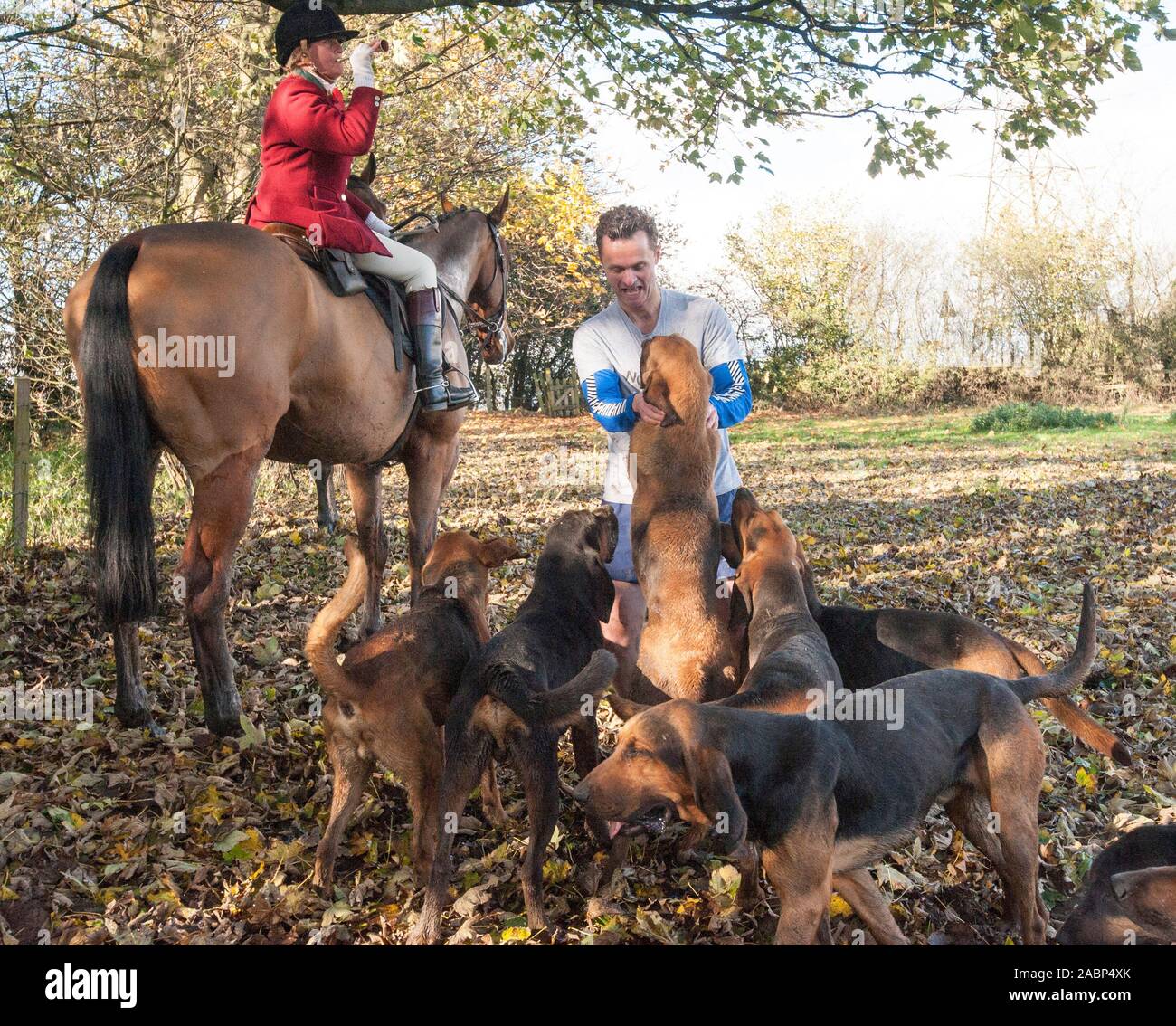 Equestrian persuit hi-res stock photography and images - Alamy