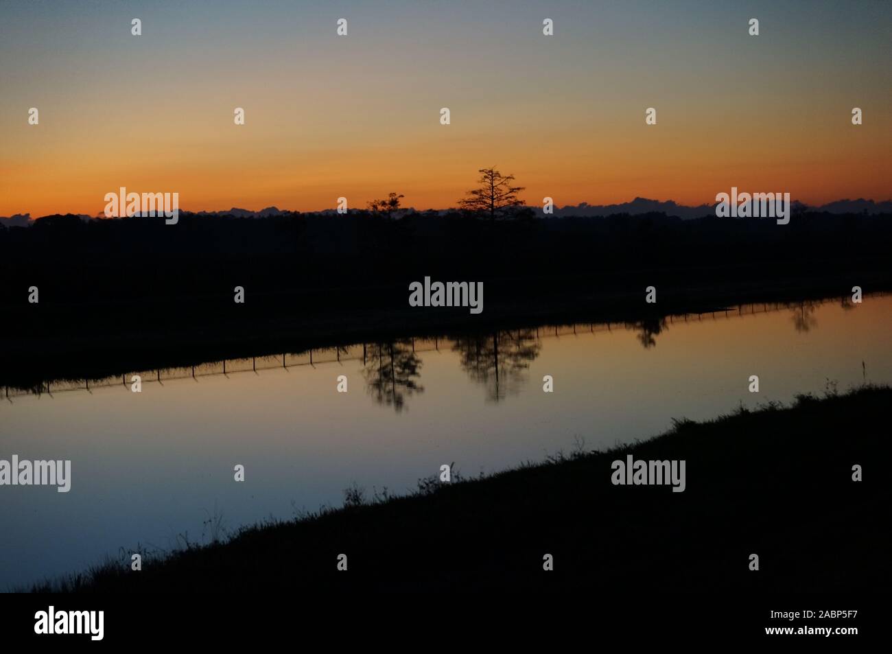 sun reflecting into the bayou in the marsh Stock Photo - Alamy