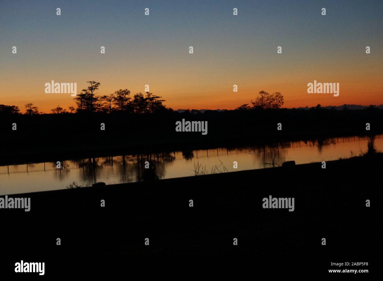 sun reflecting into the bayou in the marsh Stock Photo - Alamy