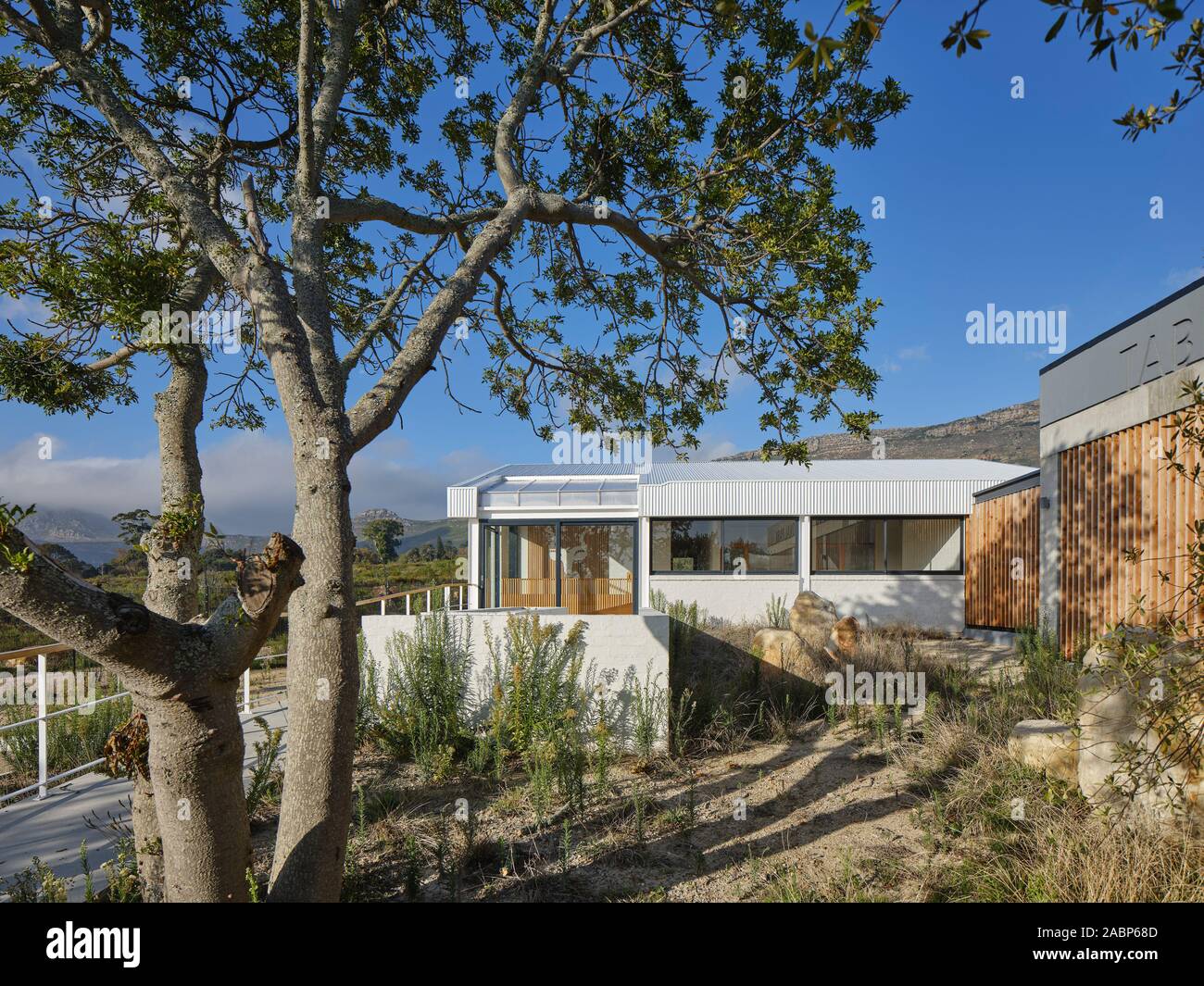 View towards main reception. SAN Parks Tokai Offices Table Mountain ...