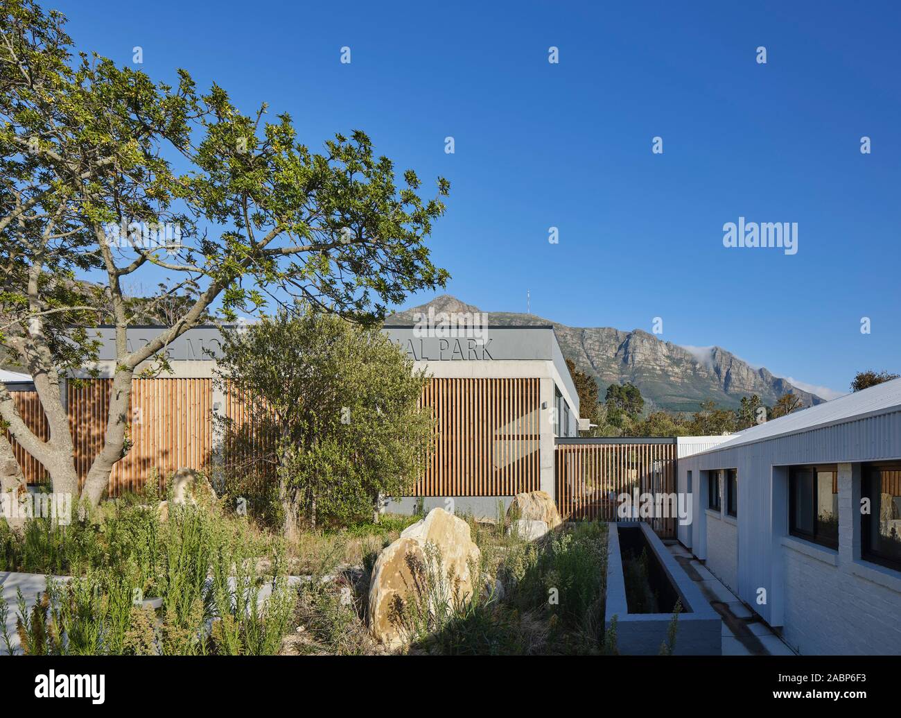 Detail of timber slat cladding in arrival area. SAN Parks Tokai Offices ...