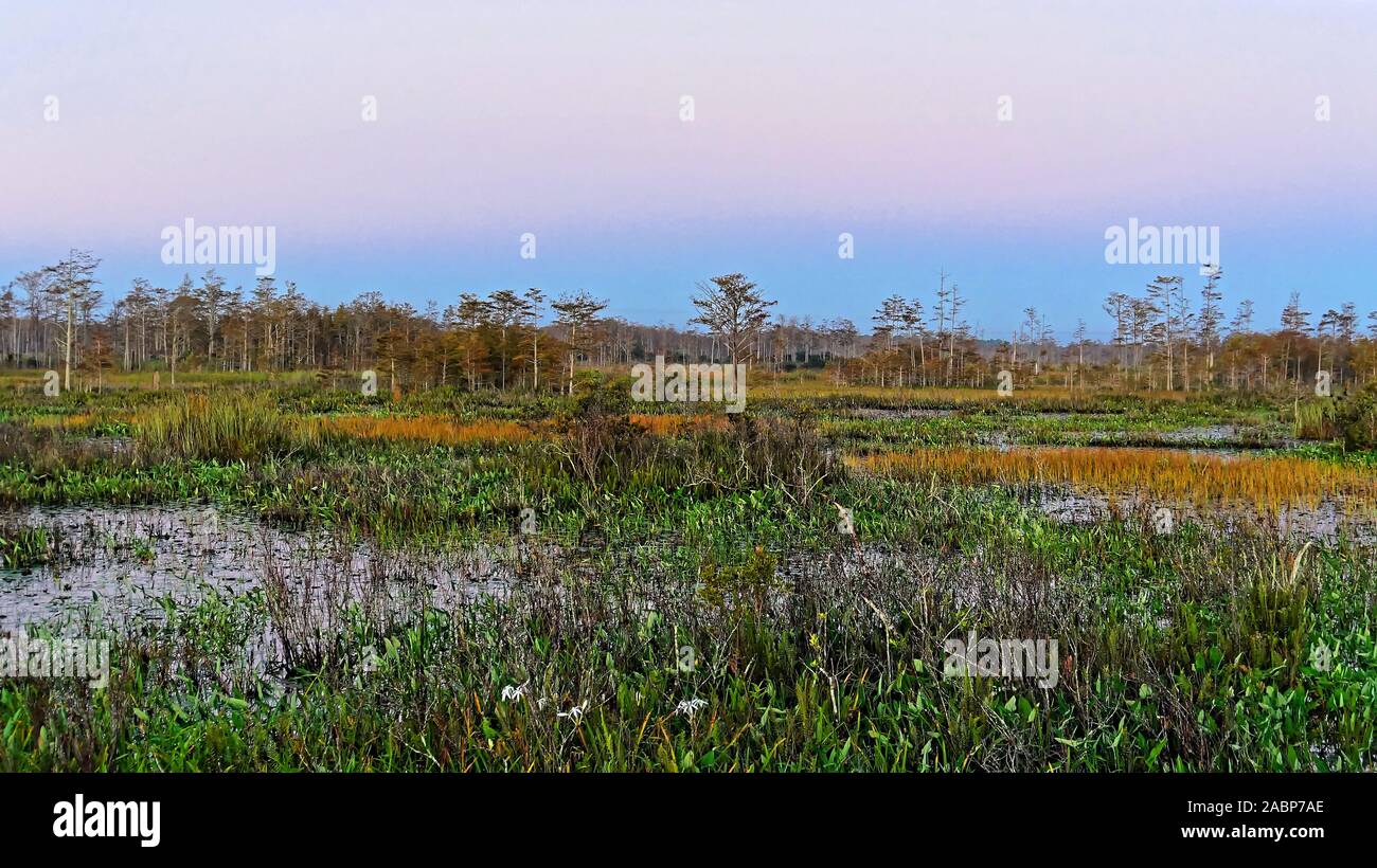 Yellow changing leaves hi-res stock photography and images - Alamy