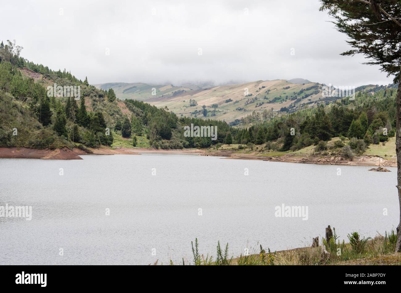 Colombian Andean cloudy landscape, water reserve "La Regadera", in Usme ...