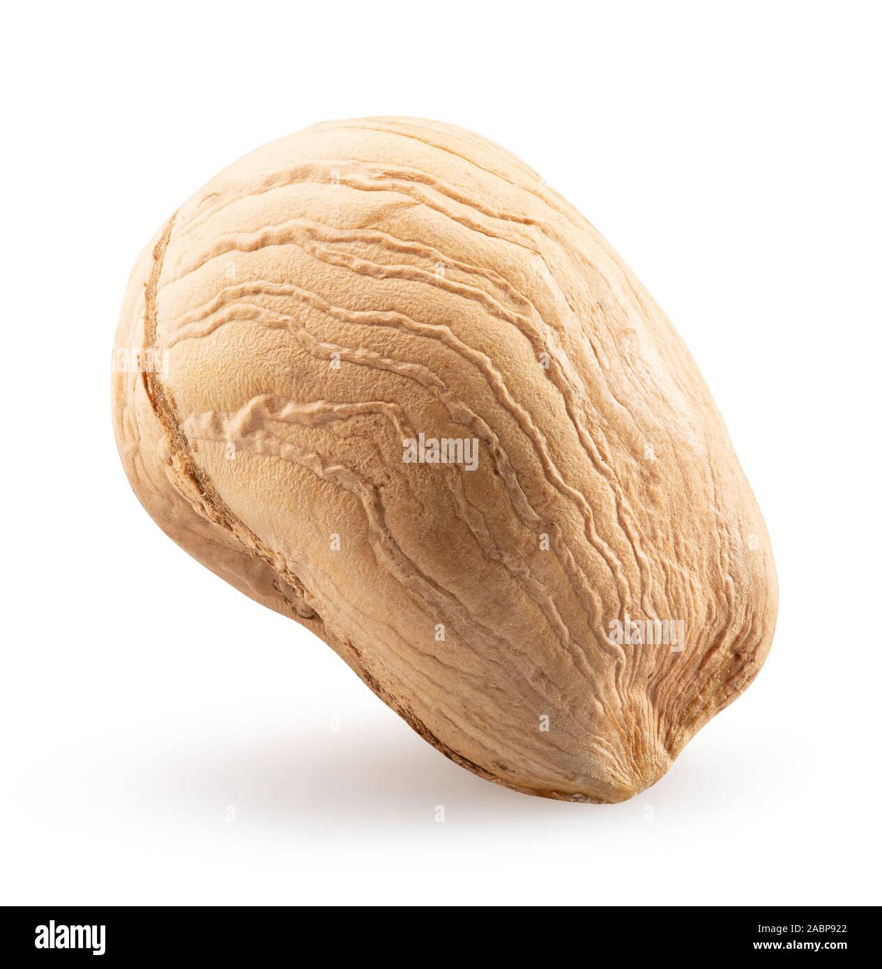 hazelnut without shell isolated on a white background Stock Photo - Alamy