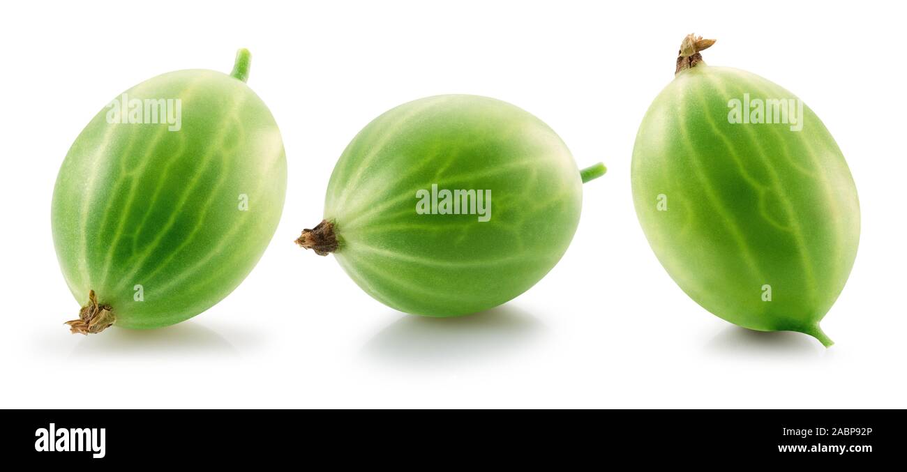 collection of green gooseberries isolated on a white background Stock ...