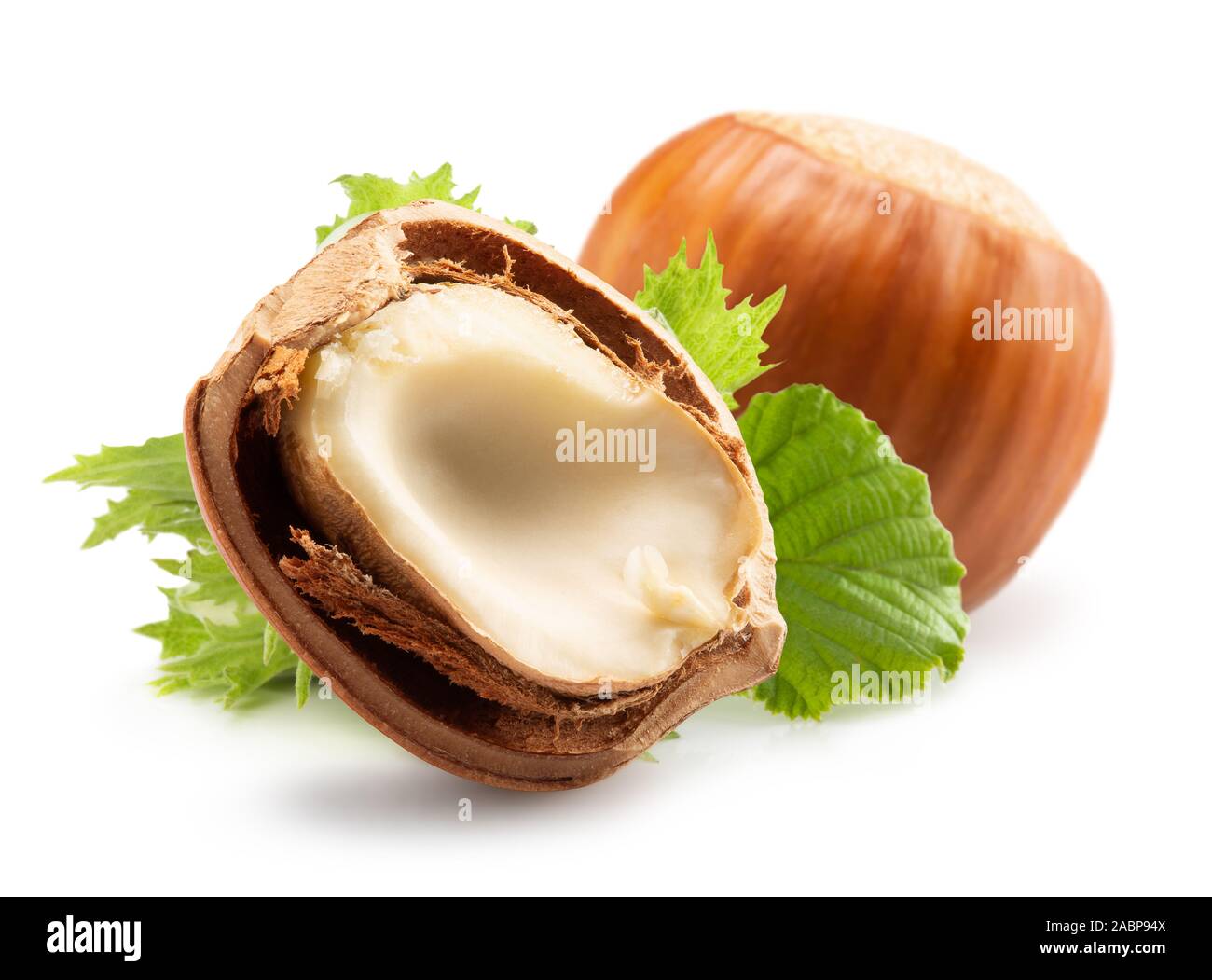 hazelnut with broken hazelnut and leaves isolated on a white background ...