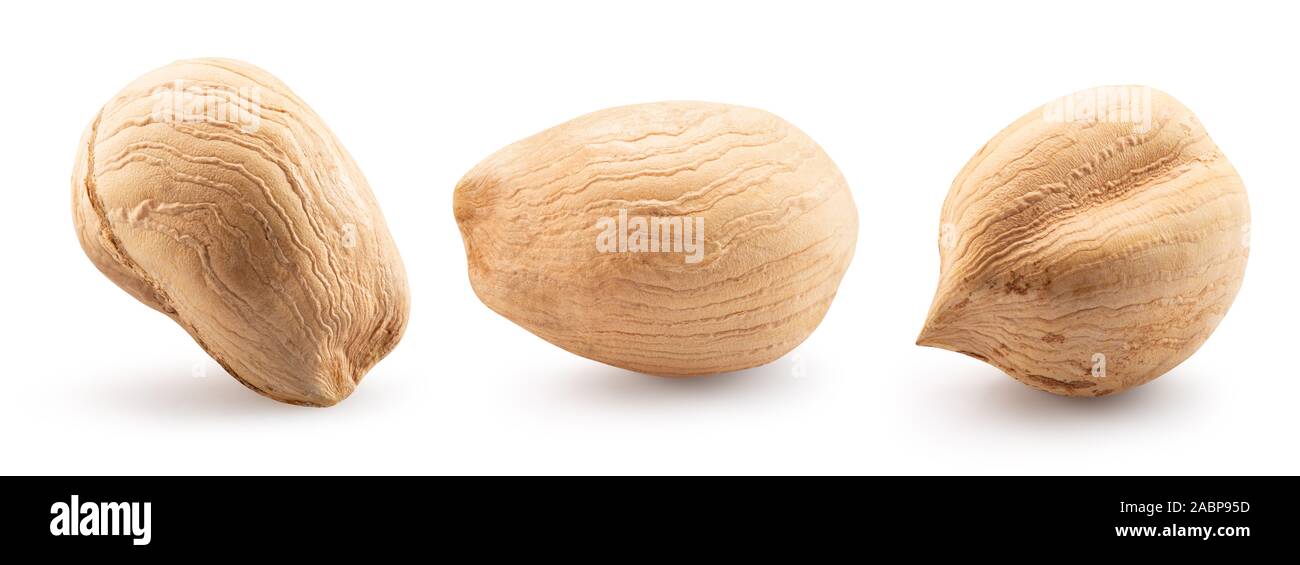 collection of hazelnuts without shell isolated on a white background ...