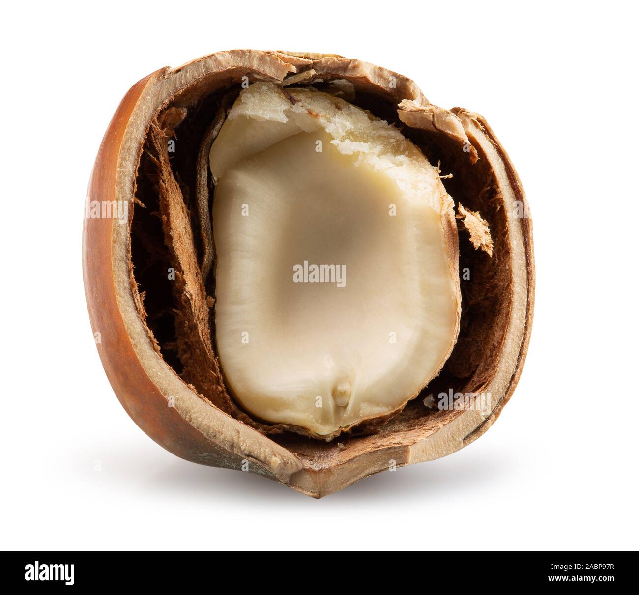 Broken hazelnut hi-res stock photography and images - Alamy