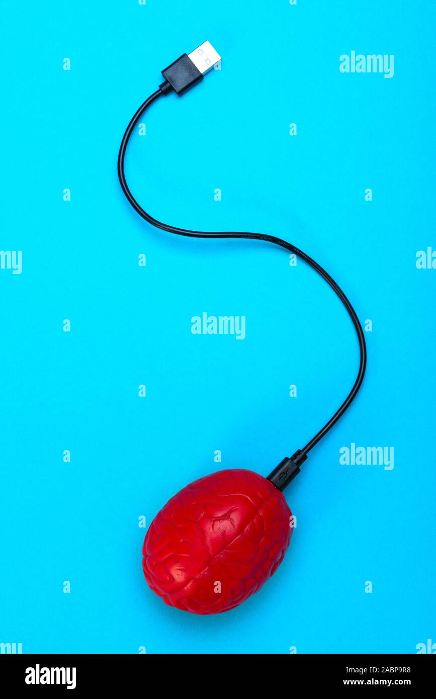 A USB cable is inserted into the brain on a blue background, brain ...