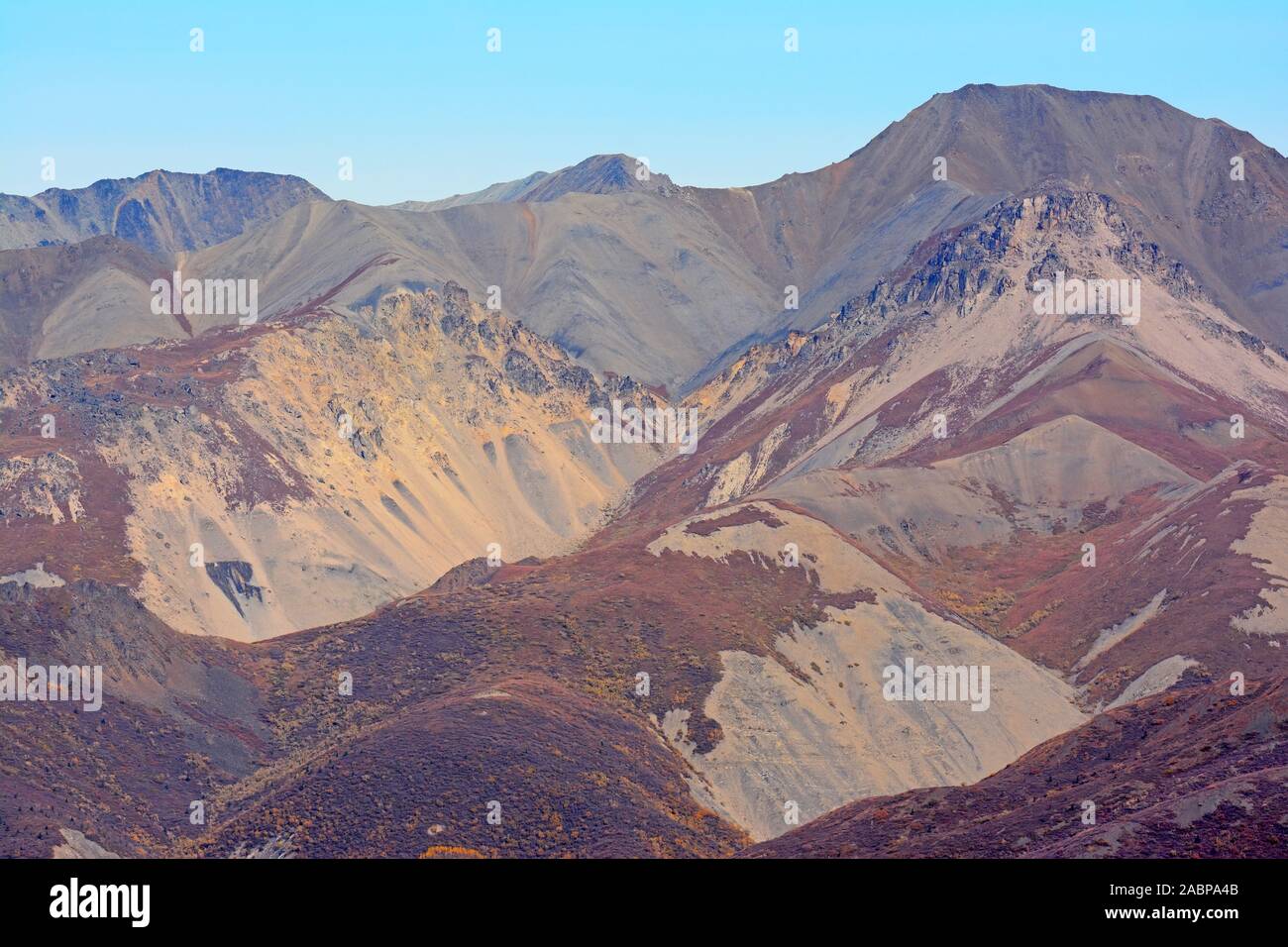Fall colors in denali national hi-res stock photography and images - Alamy
