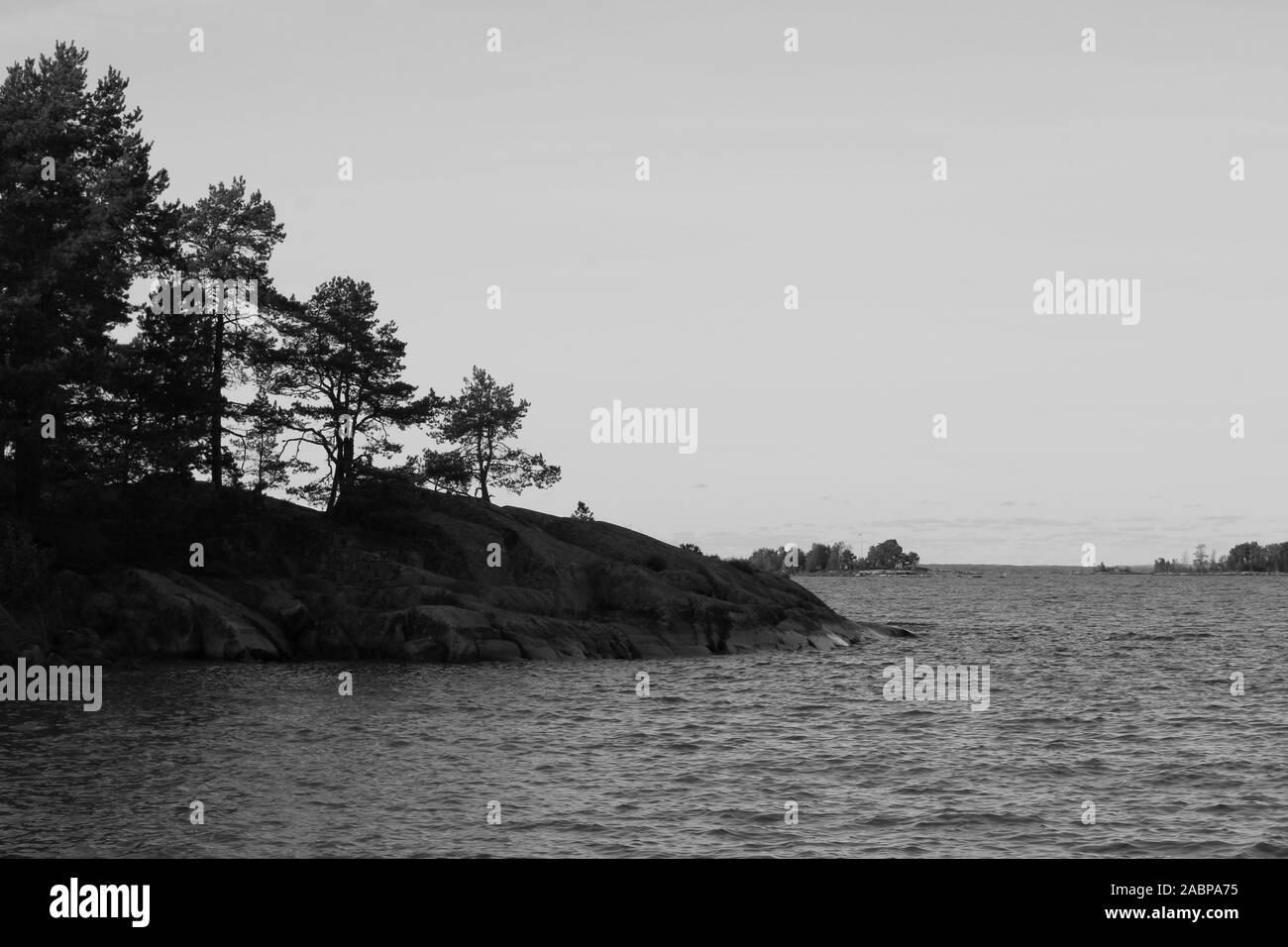 Summer landscape trees growing Black and White Stock Photos & Images ...