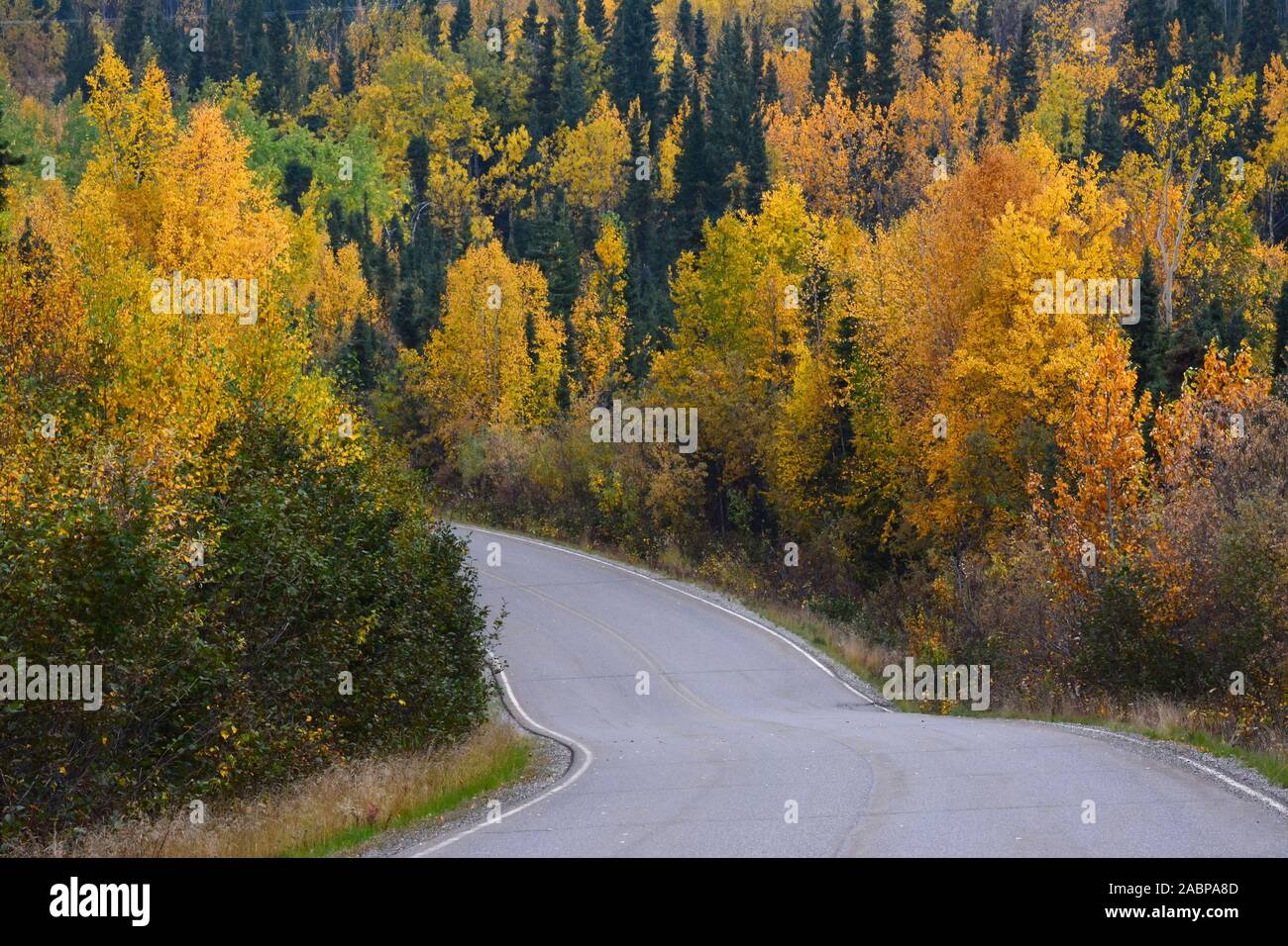 Alaska fall landscape road hi-res stock photography and images - Alamy