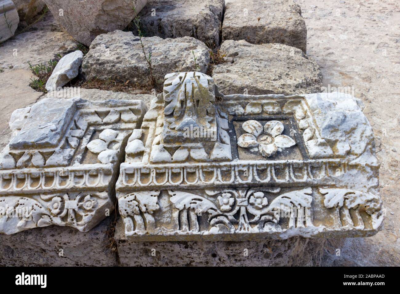 Capital of the carthaginian tunisia hi-res stock photography and images ...