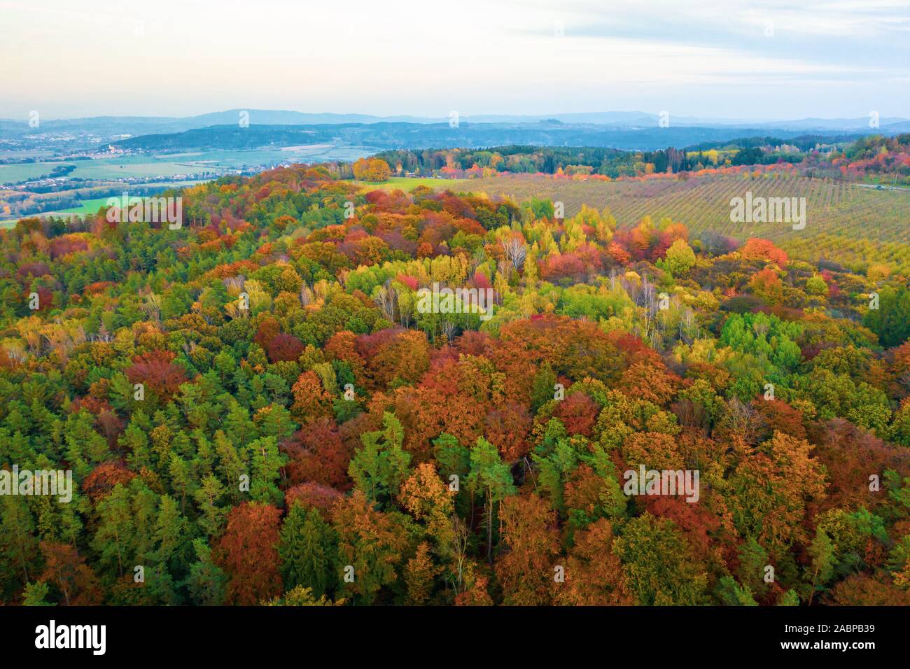 Colorful autumn trees sunrise hi-res stock photography and images - Alamy