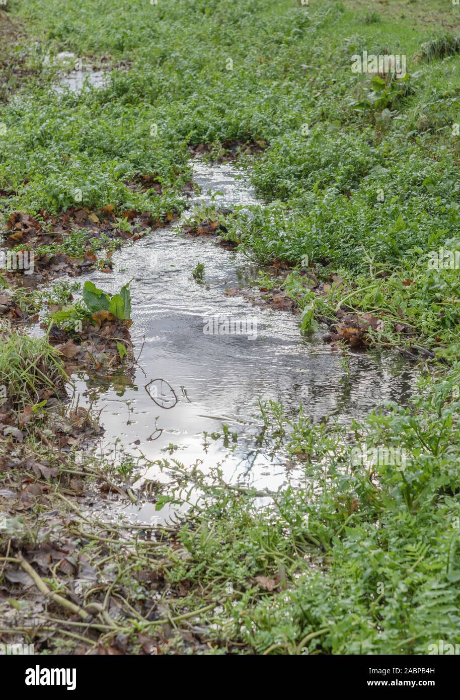 Weeds in drainage channel hi-res stock photography and images - Alamy
