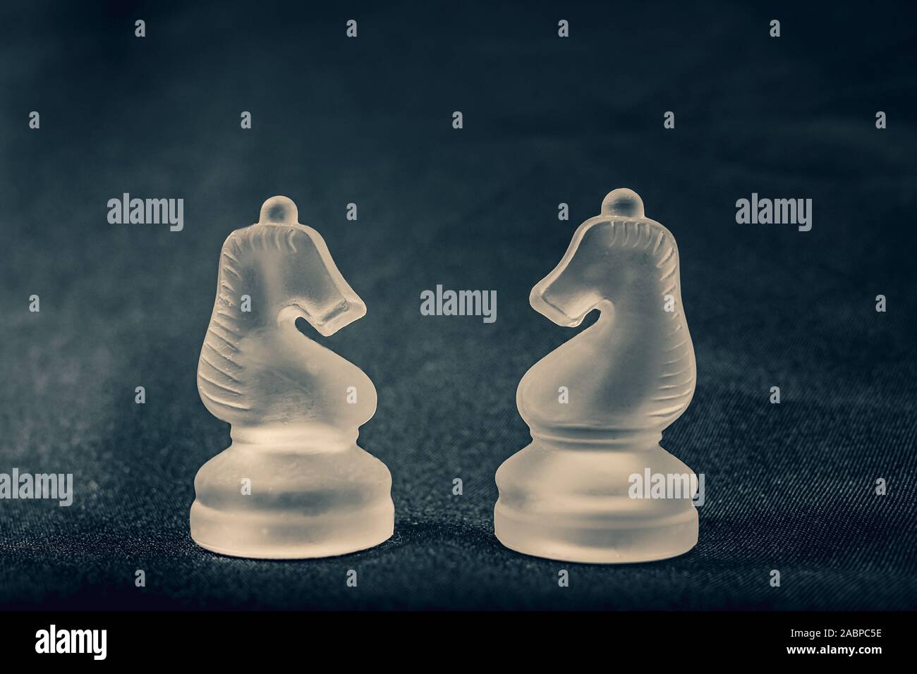 identical white Knights face each other directly Stock Photo - Alamy