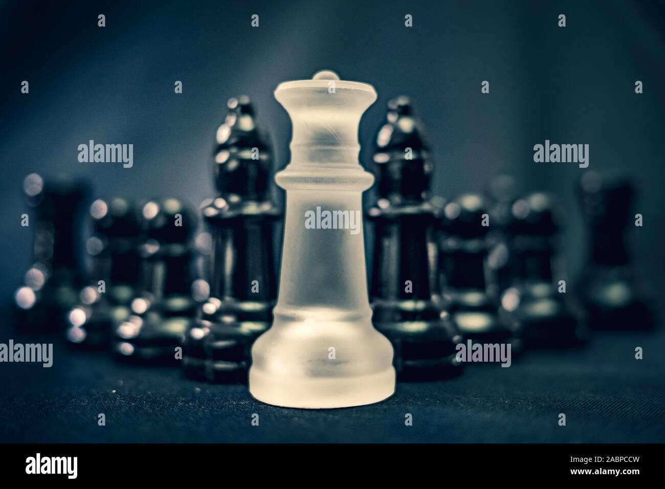 Queen chess piece shadow hi-res stock photography and images - Alamy