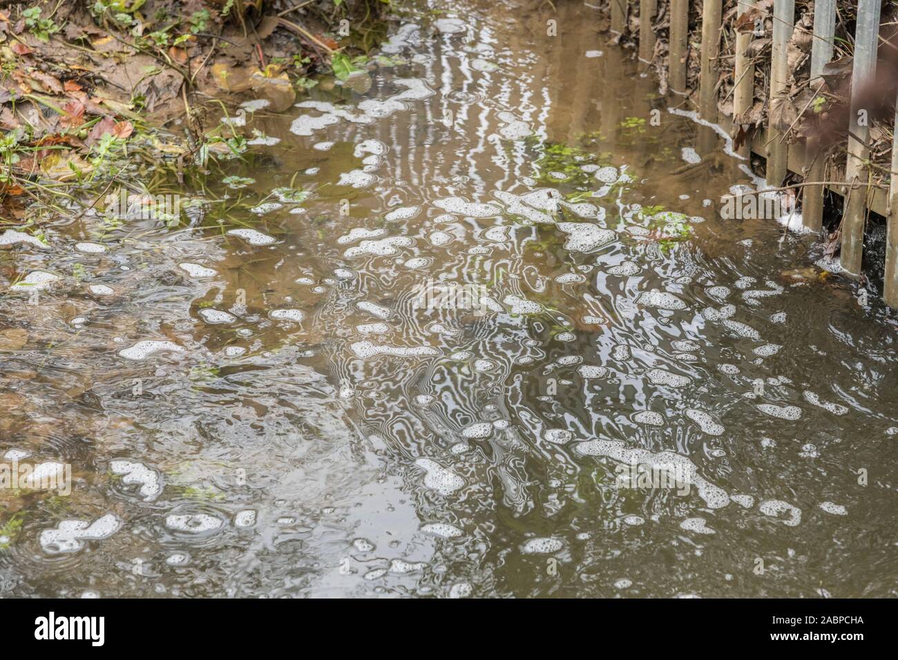 Pool of water foam. Foam line / foam collecting on freshwater drainage ...
