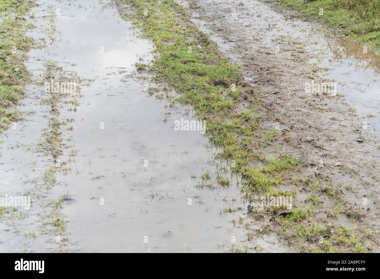 Waterlogged grassy country track saturated by winter rains. For winter ...