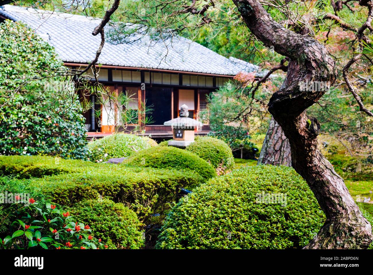 Unryu-in Temple, Kyoto: Central Japanese garden Stock Photo - Alamy