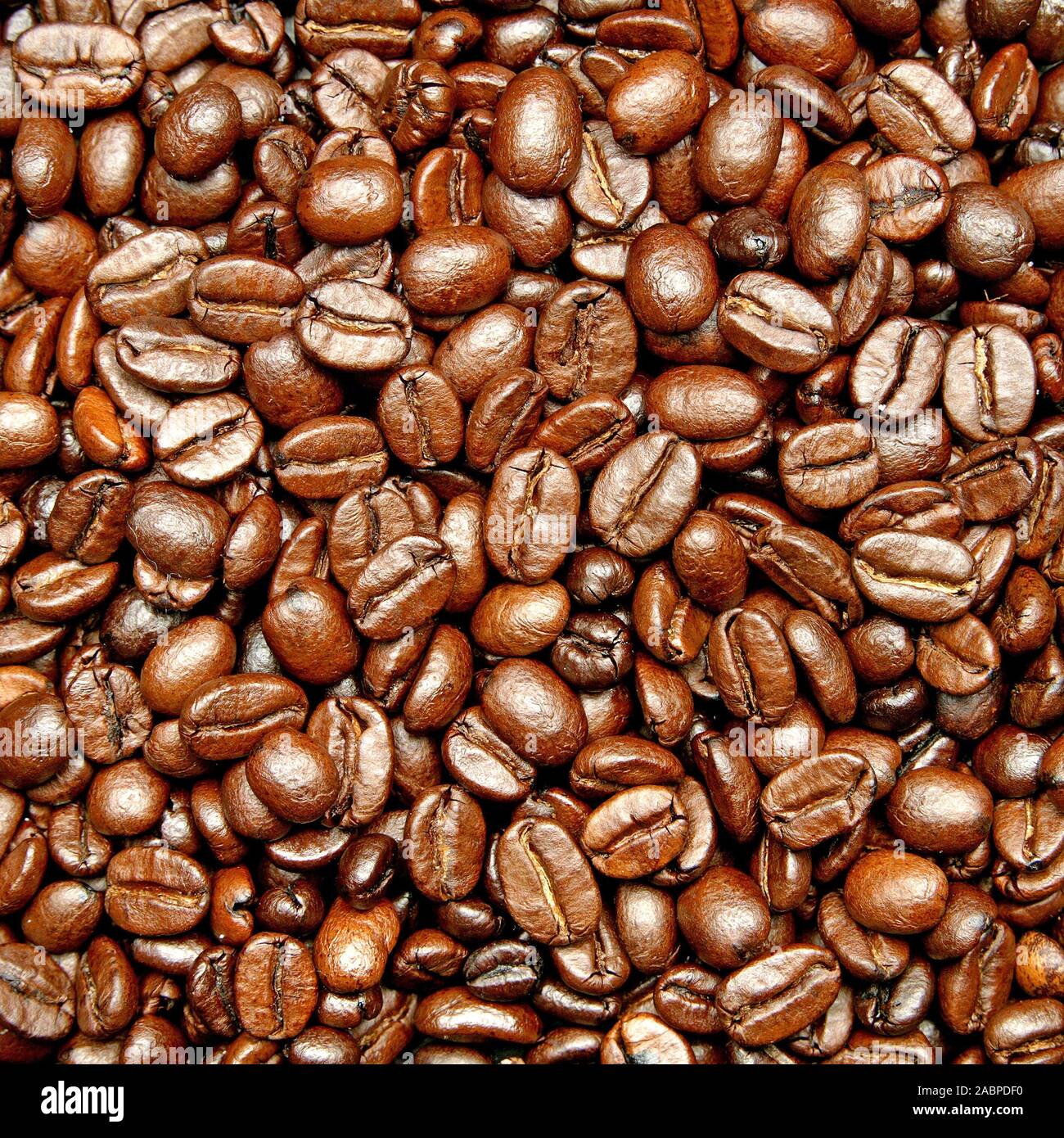 Braune bohnen hi-res stock photography and images - Alamy