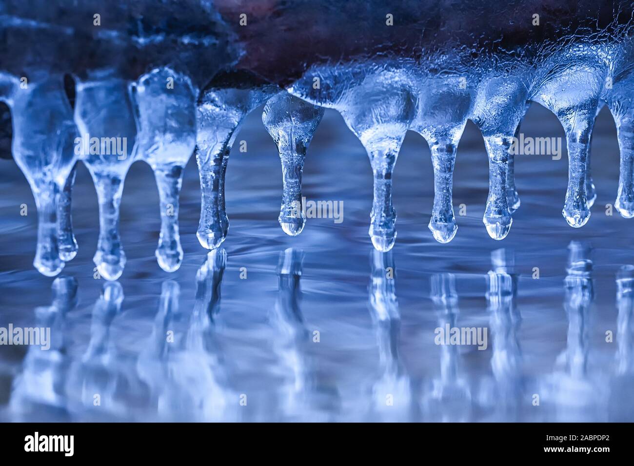 Icicles formations on a branch of a tree over the lake Stock Photo - Alamy