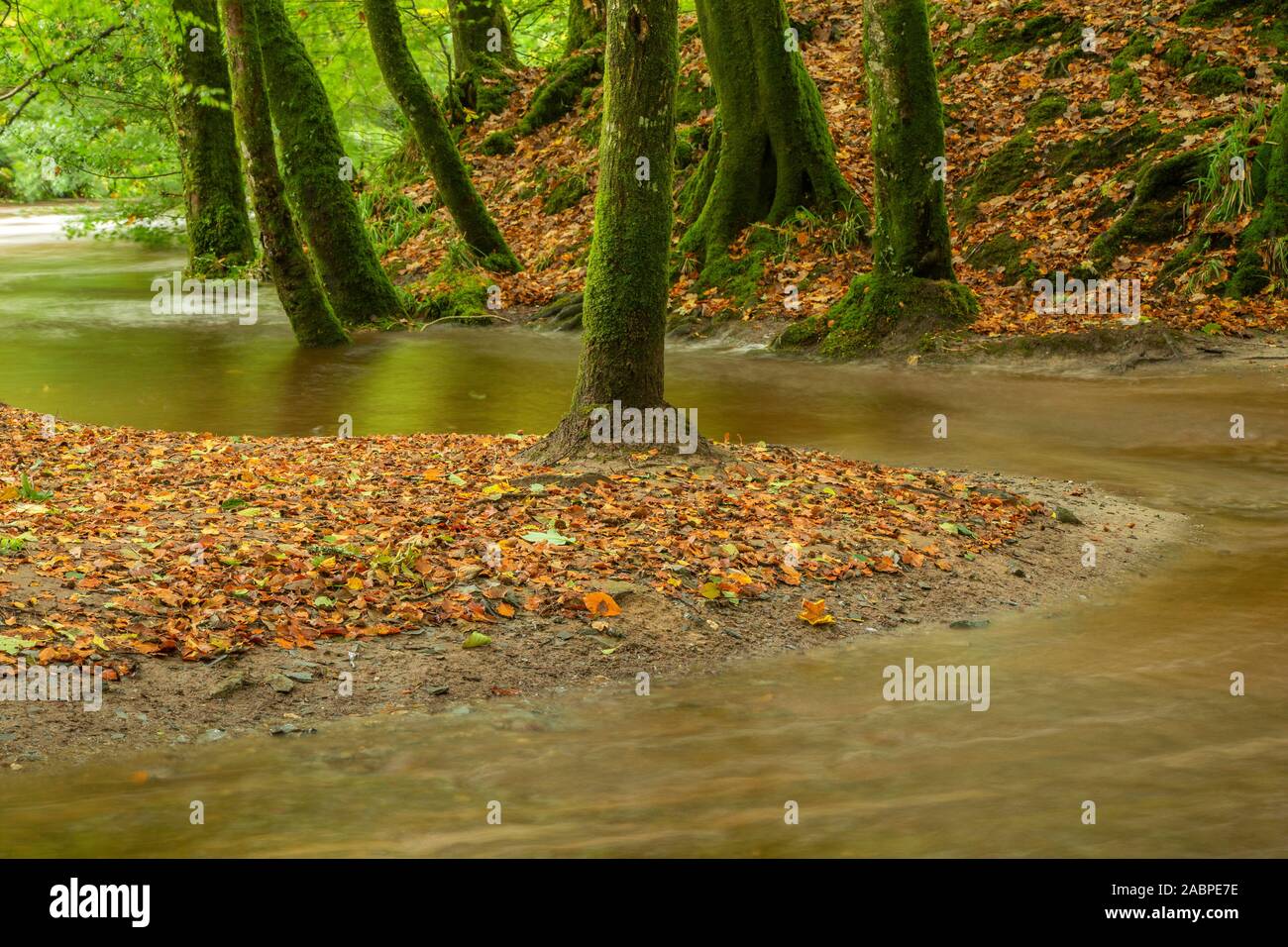 Banks of streams and rivers hi-res stock photography and images - Alamy