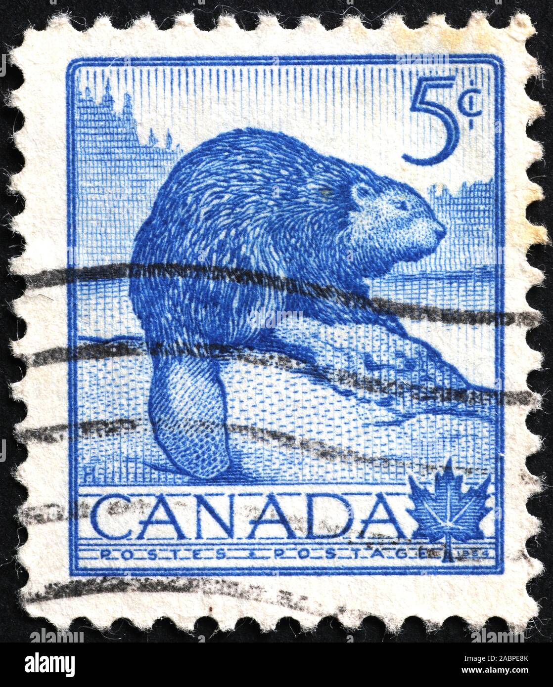 Vintage canadian stamp with a beaver Stock Photo - Alamy