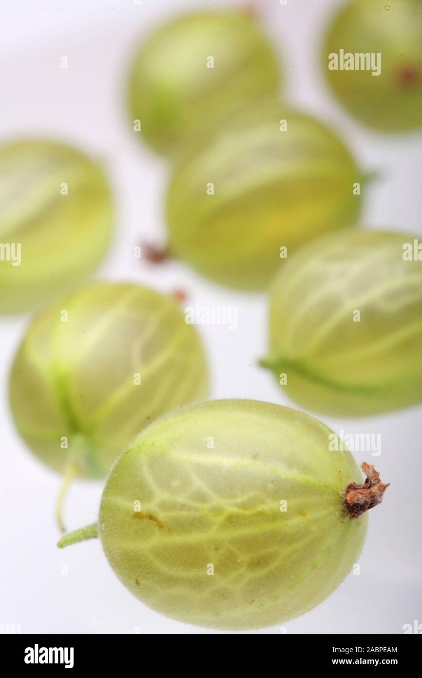 Stachelbeeren hi-res stock photography and images - Alamy