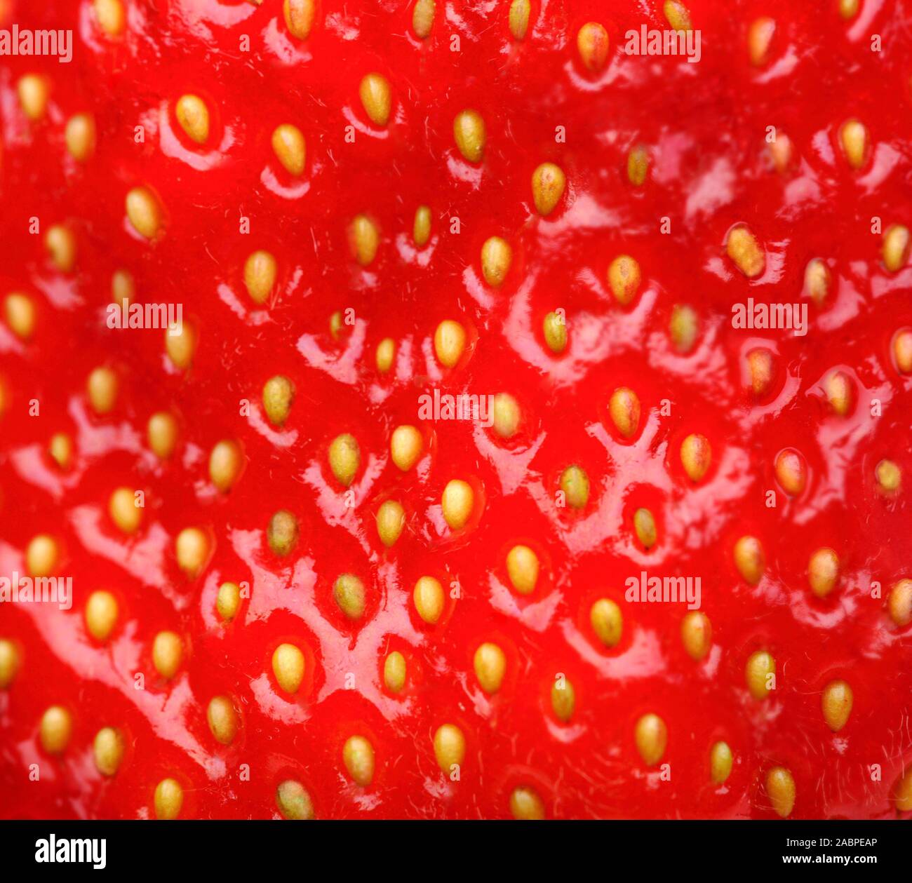 Erdbeere - Detail Stock Photo - Alamy