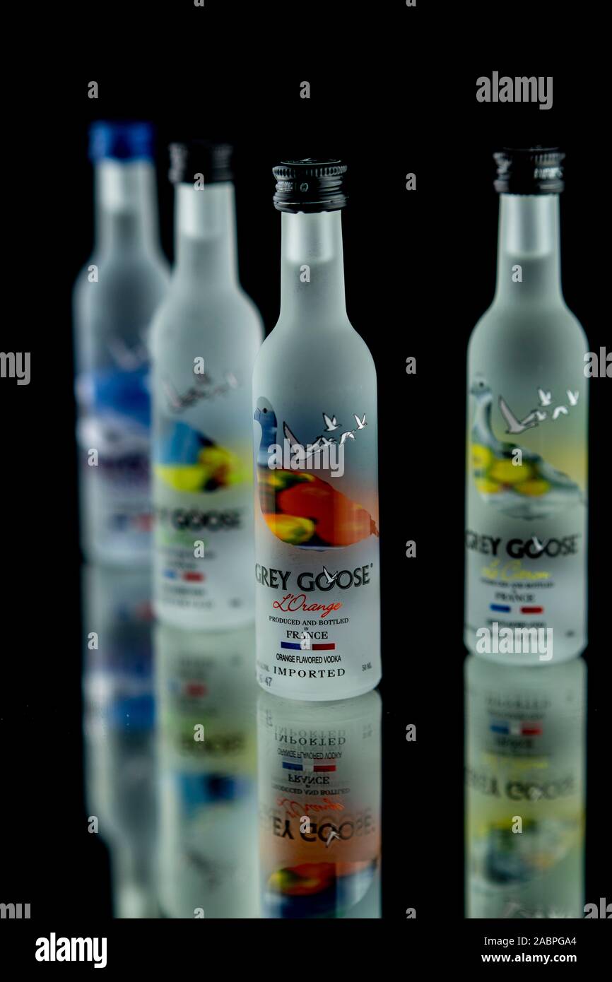 Miniature Grey Goose Stock Photo - Alamy