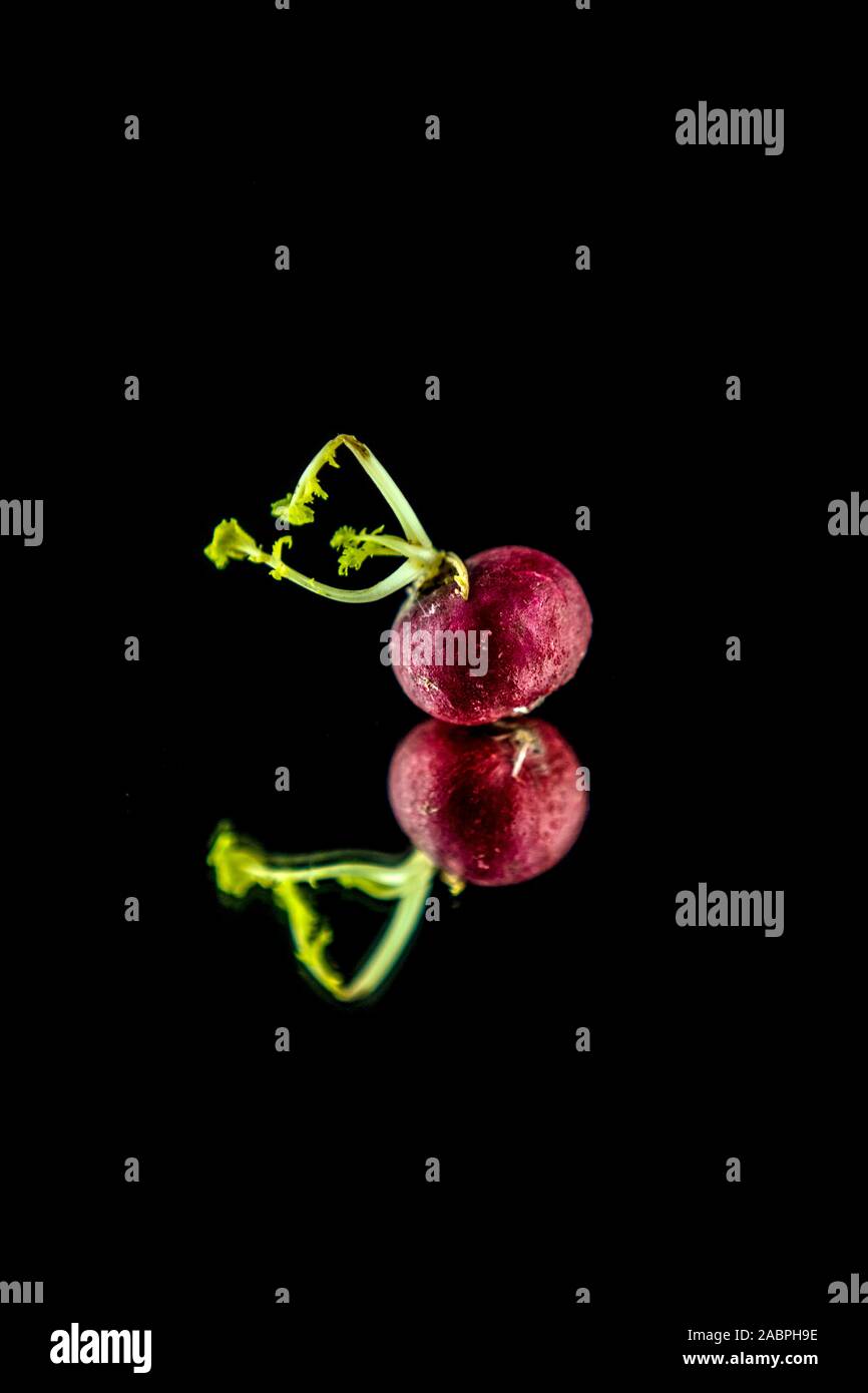 Rotten berries hi-res stock photography and images - Alamy