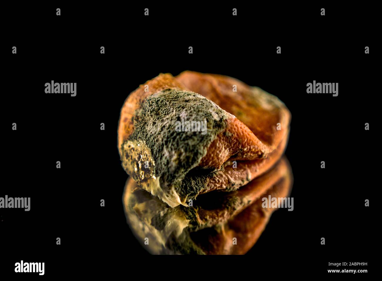 Rotten berries hi-res stock photography and images - Alamy