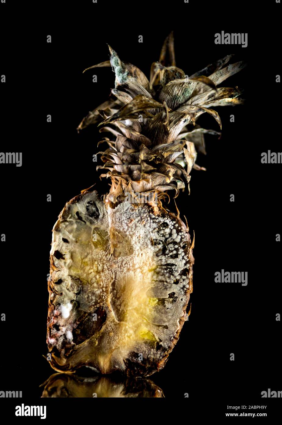 Rotten Fruit with slight decay on a reflective surface Stock Photo - Alamy