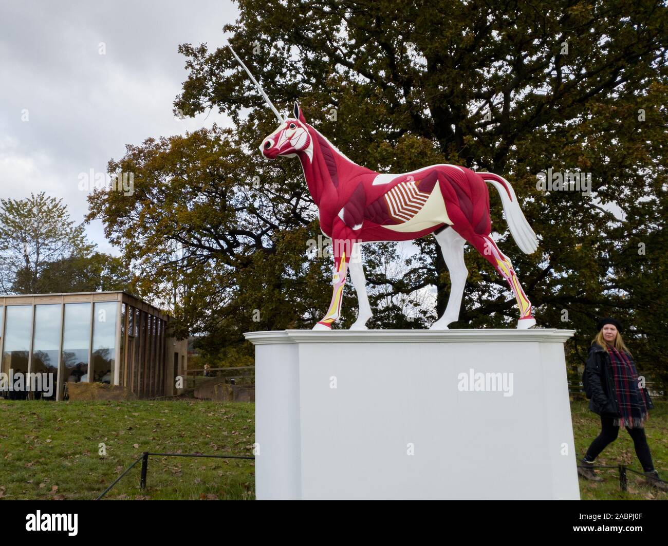 Damien hirst yorkshire sculpture park hi-res stock photography and ...