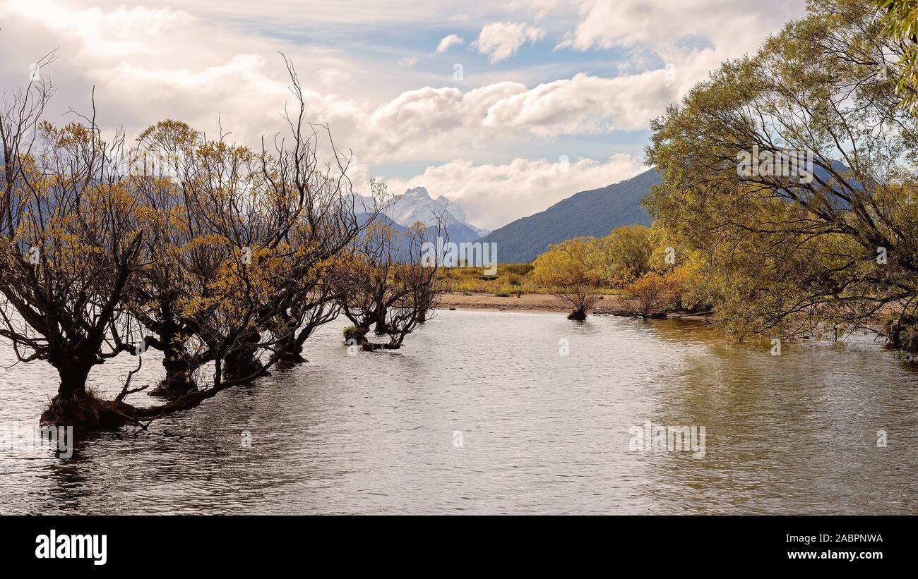 Spindly plant hi-res stock photography and images - Alamy