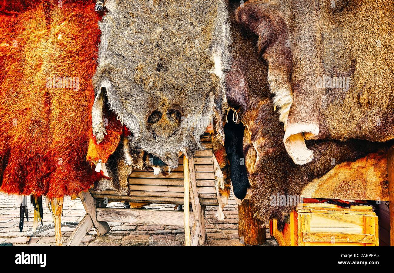 Fur hat display hi-res stock photography and images - Alamy