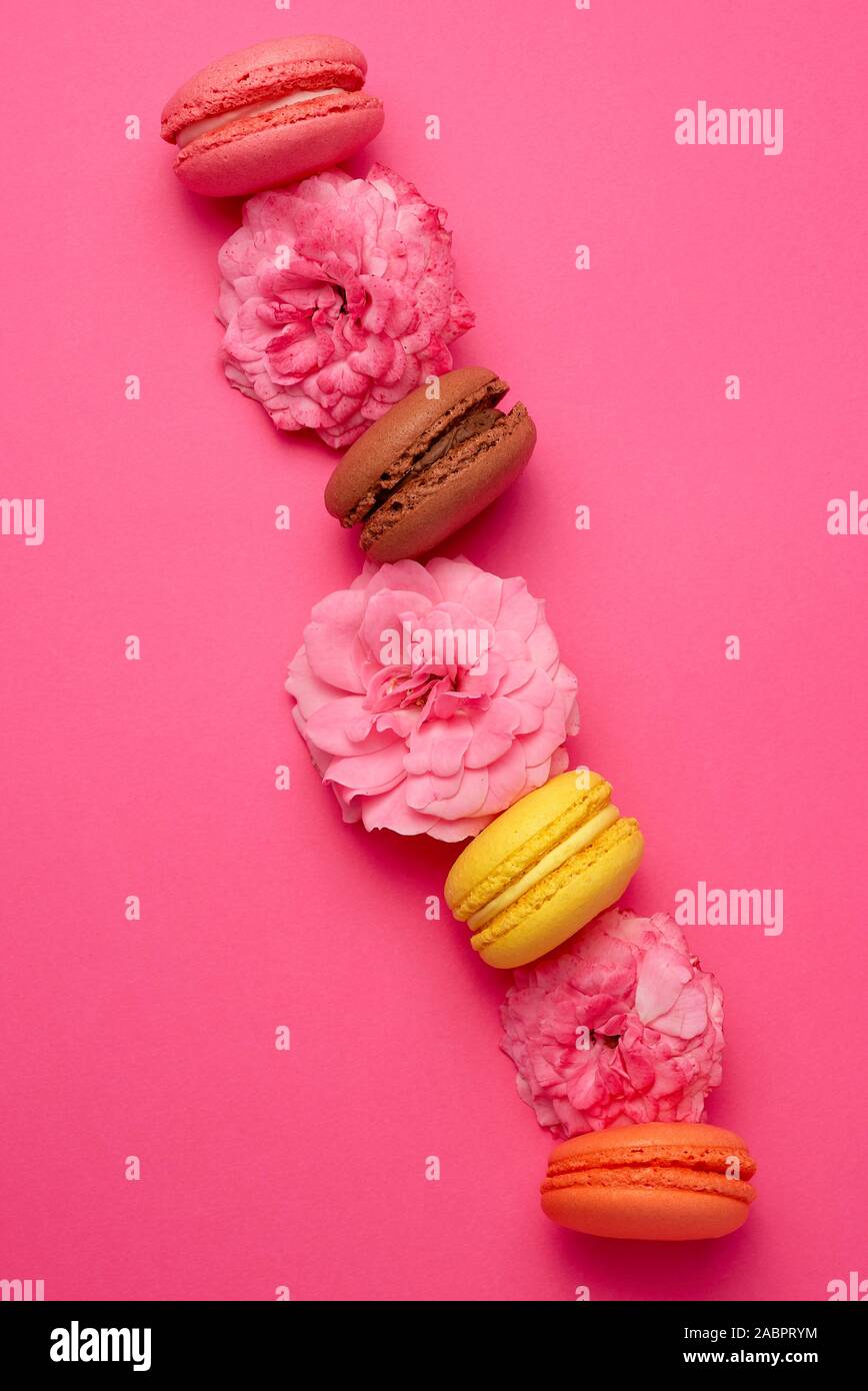 sweet multi-colored macarons with cream and a pink rose bud on a pink ...