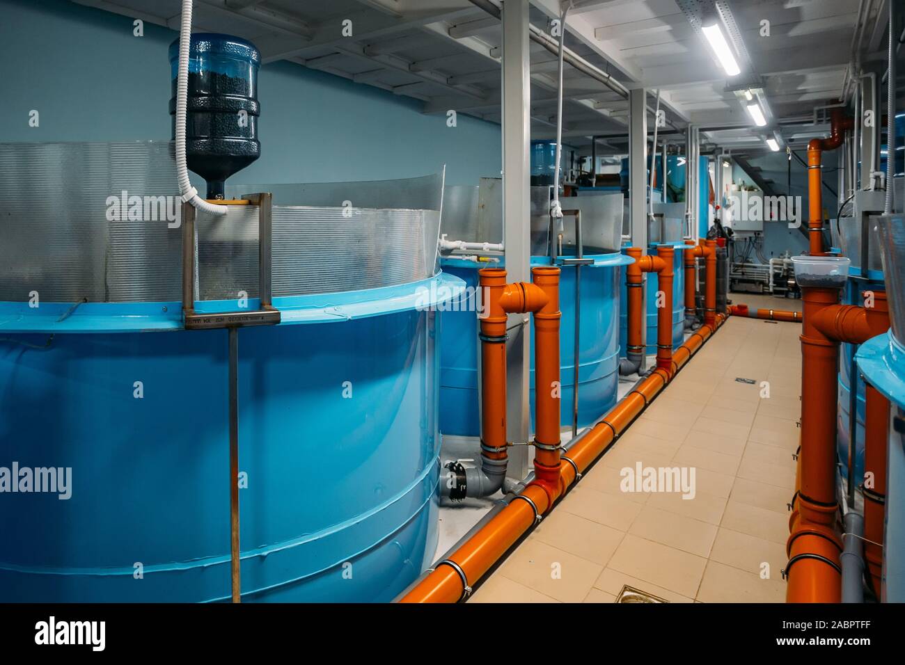 Modern fish farm with closed water circulation supply Stock Photo - Alamy